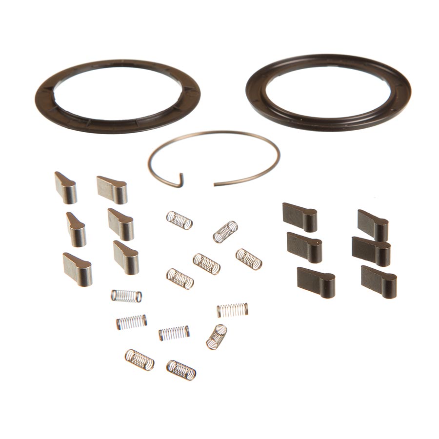 Zipp Spring and Pawl Set - ZM2 – FirstFlightBikes